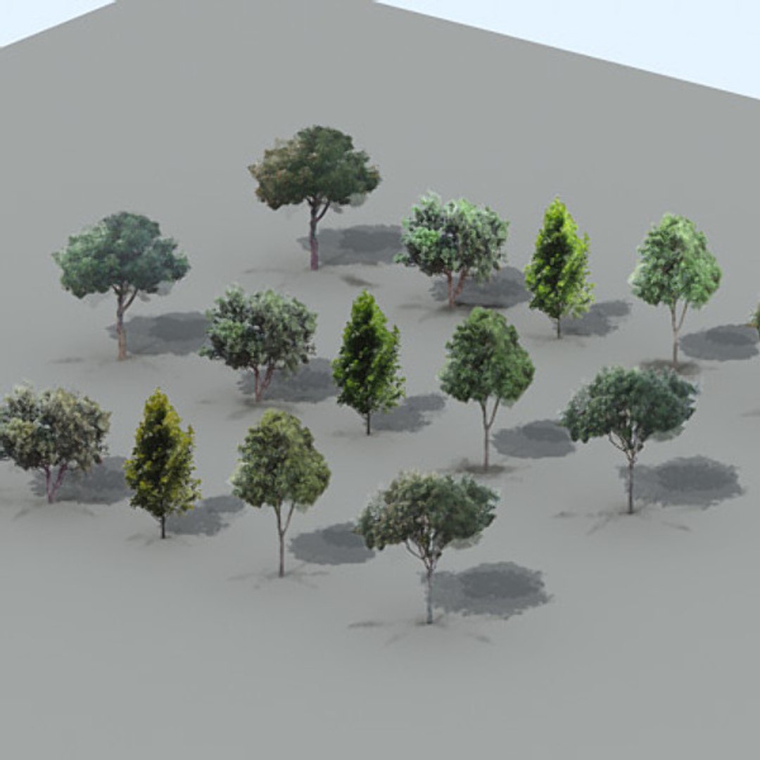 Tree 3d Model
