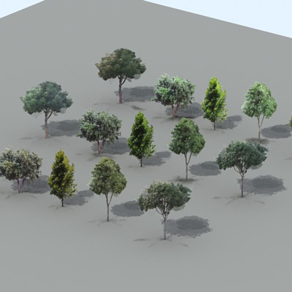 tree 3d model