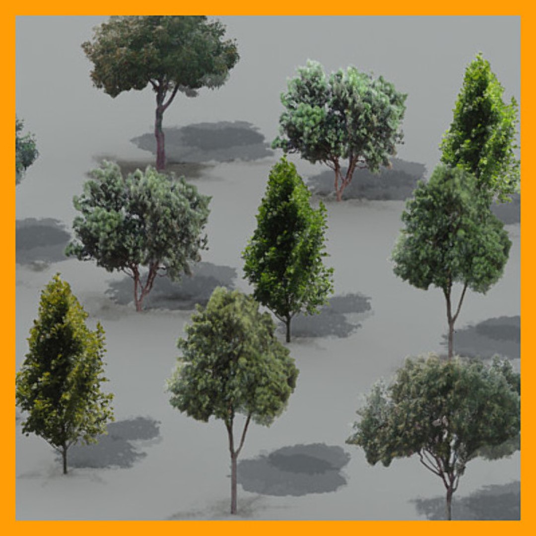 Tree 3d Model