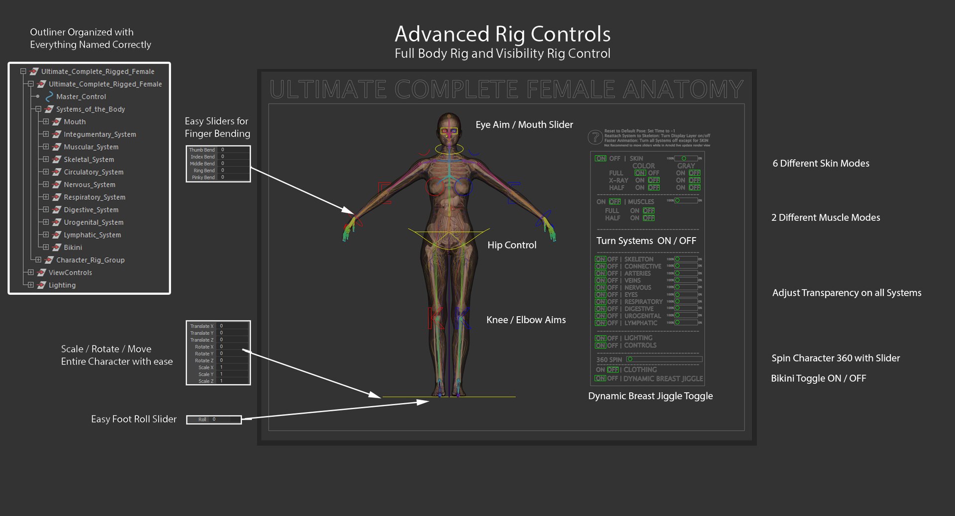 Anatomy 3D model - TurboSquid 1338967
