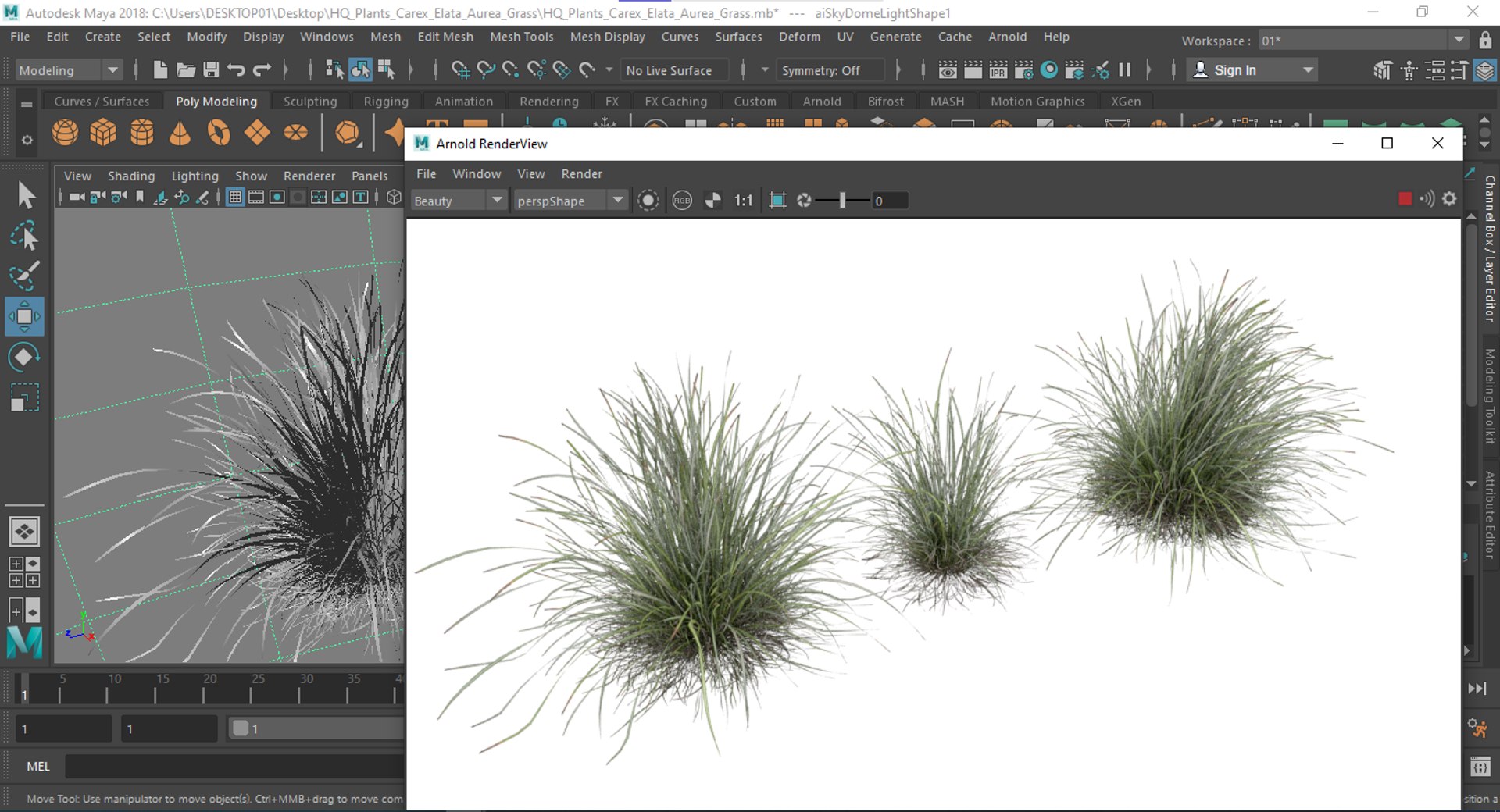 3D HQ Plants Carex Elata Aurea Grass - TurboSquid 2123010