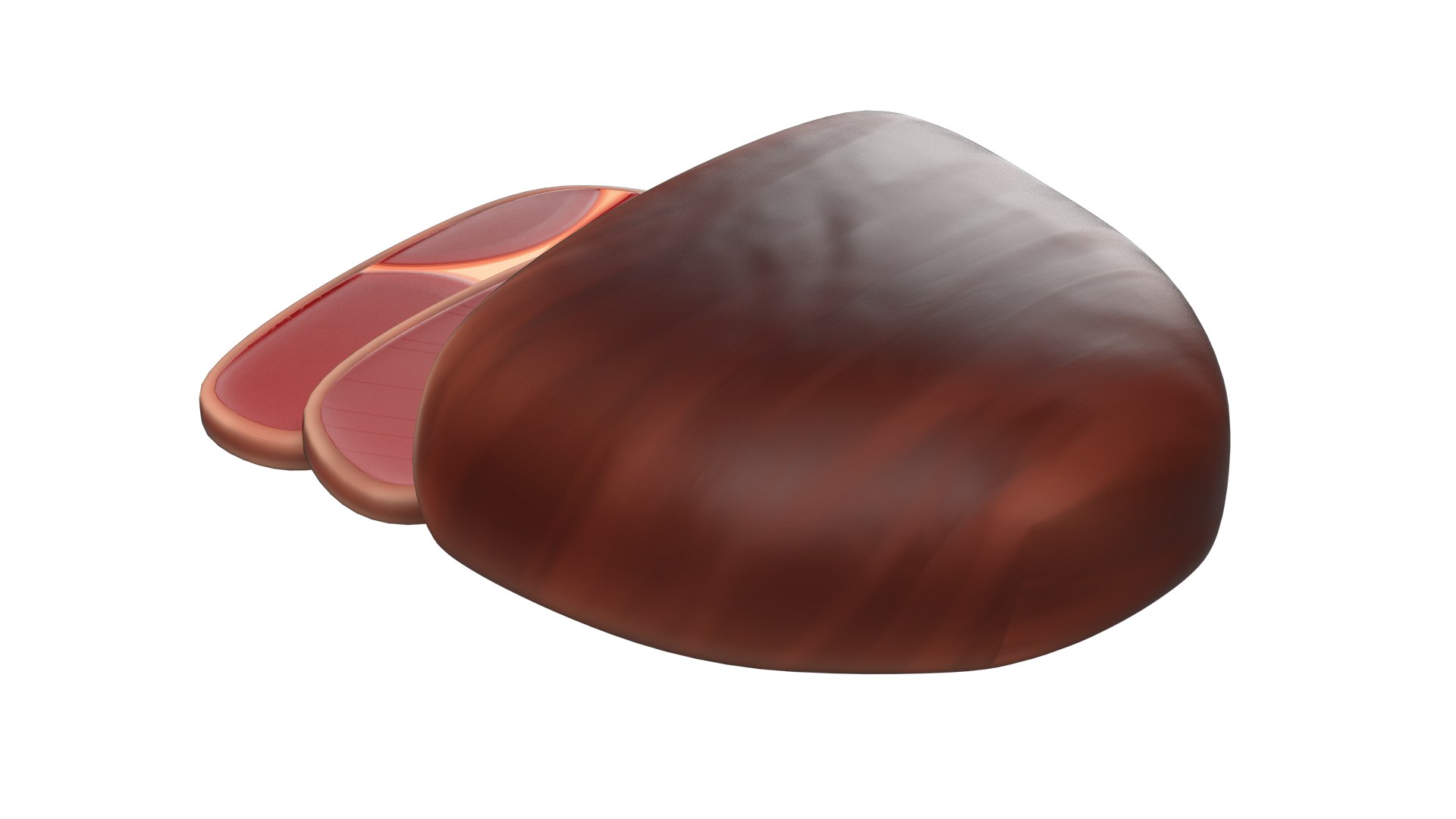 Cartoon Ham Collection 3D model - TurboSquid 2115062