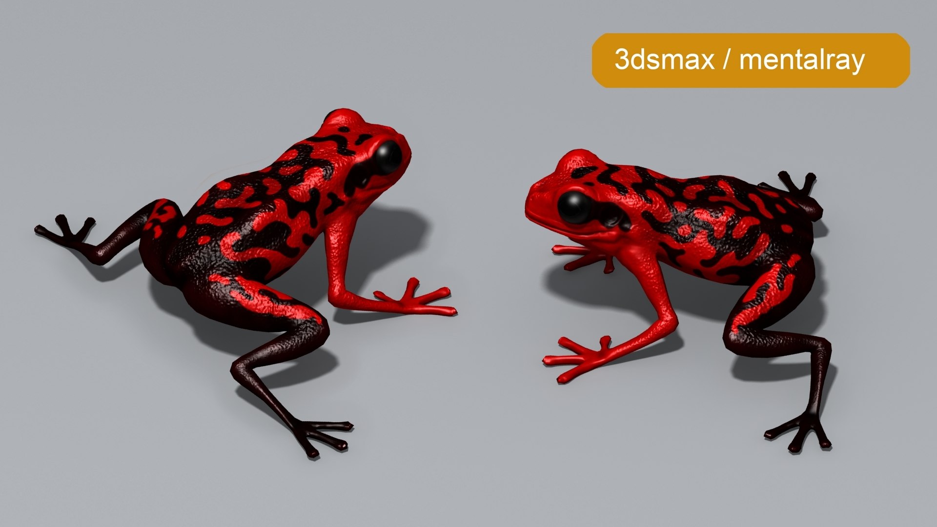 3D Model Silverstones Poison Frog - TurboSquid 2203733