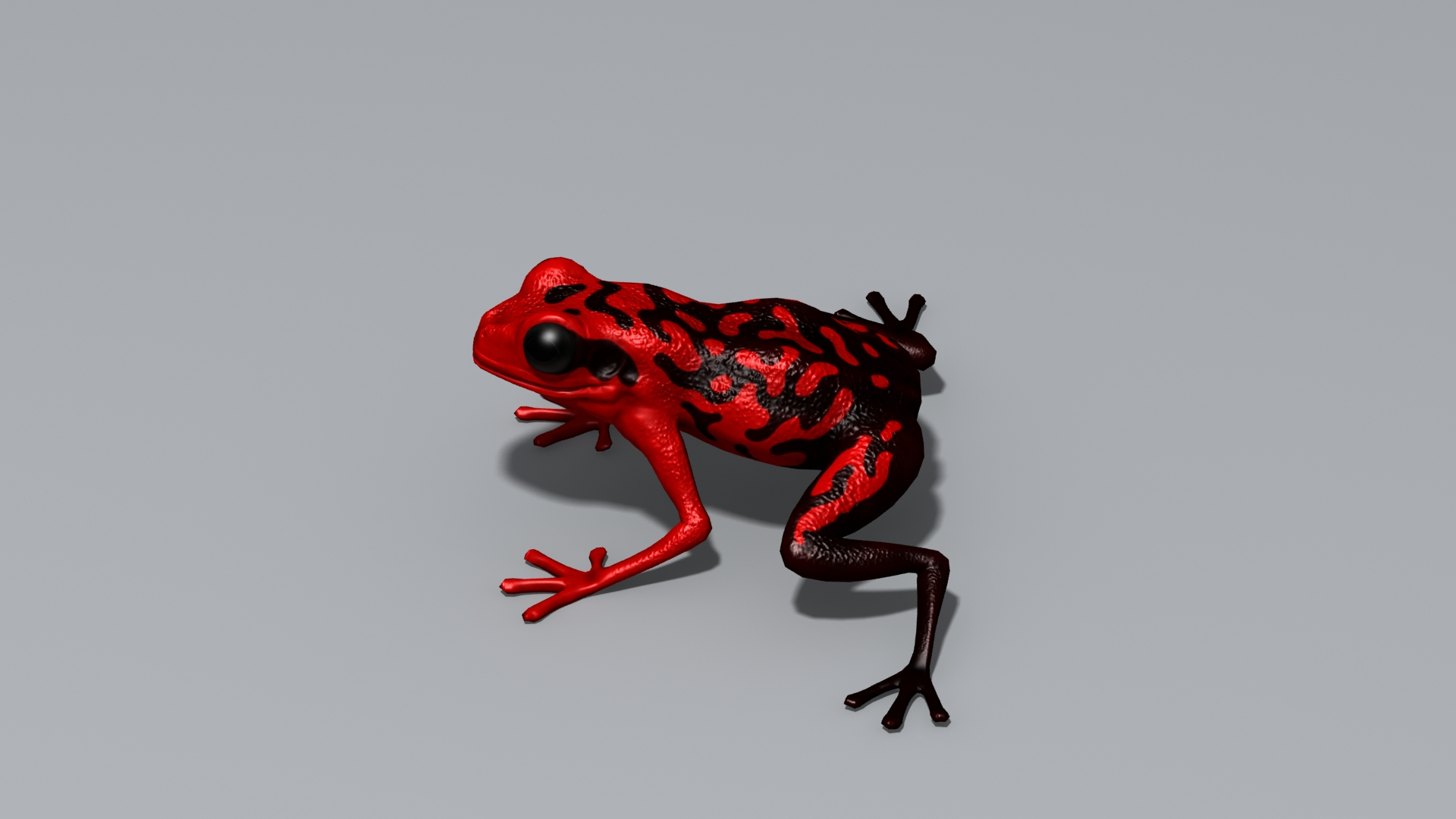 3D Model Silverstones Poison Frog - TurboSquid 2203733