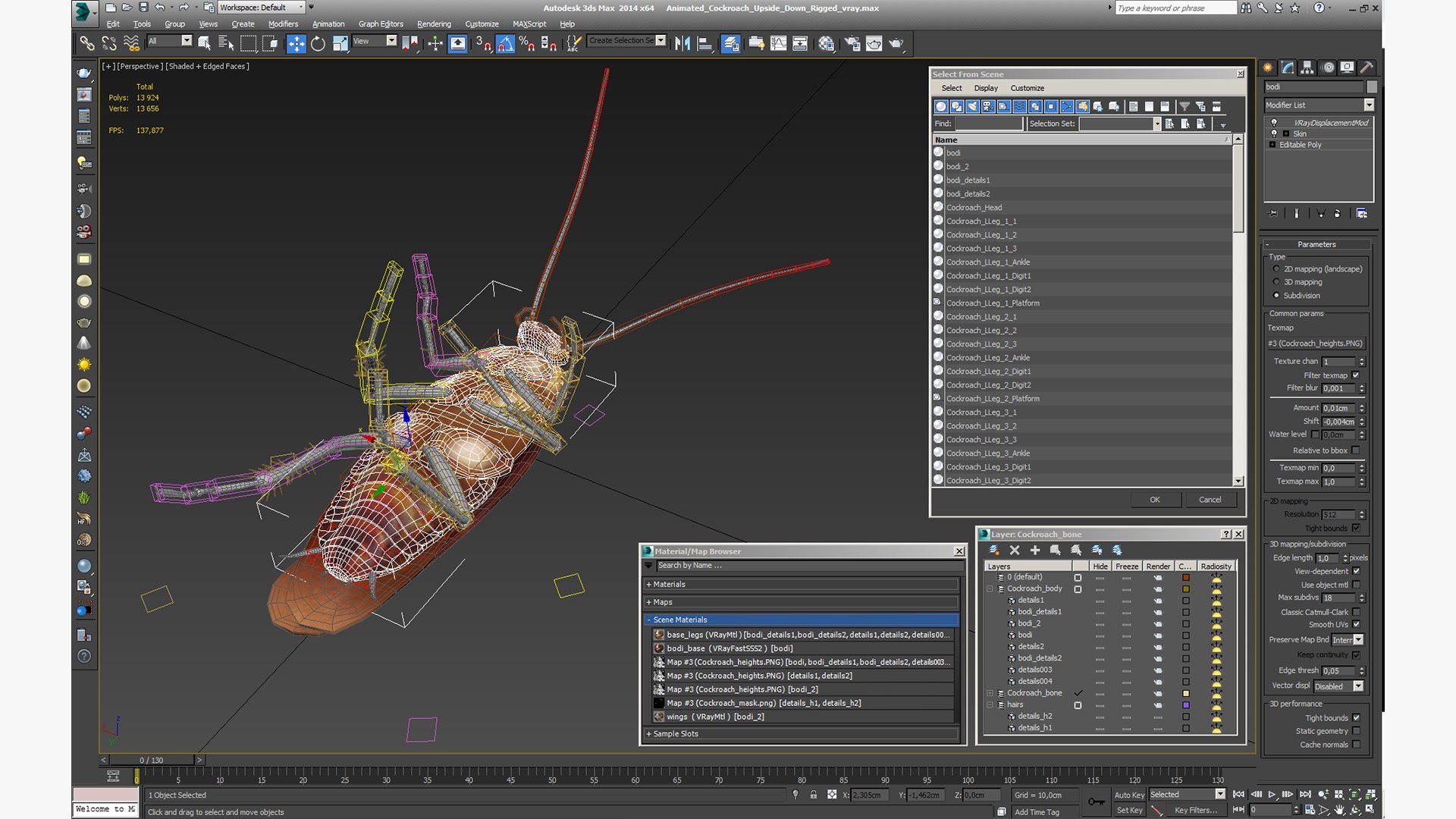 3D Cockroach Upside Rigged Animation - TurboSquid 1487215