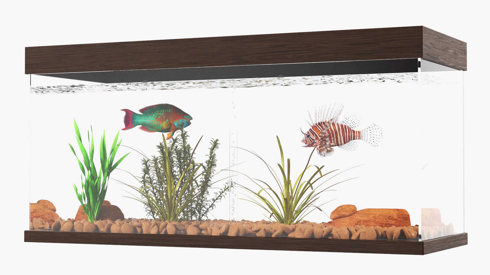 3D Fish Tank Wooden Long Model - TurboSquid 2221270