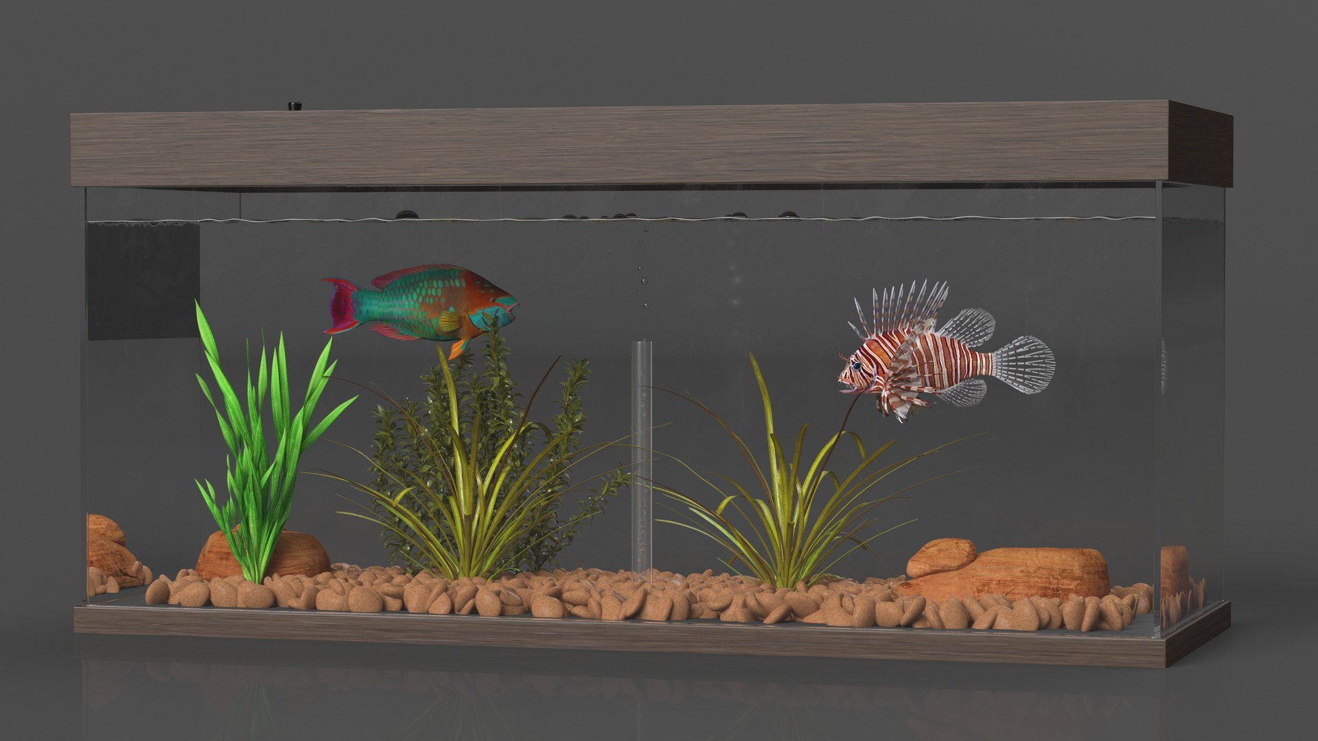 3D Fish Tank Wooden Long Model - TurboSquid 2221270