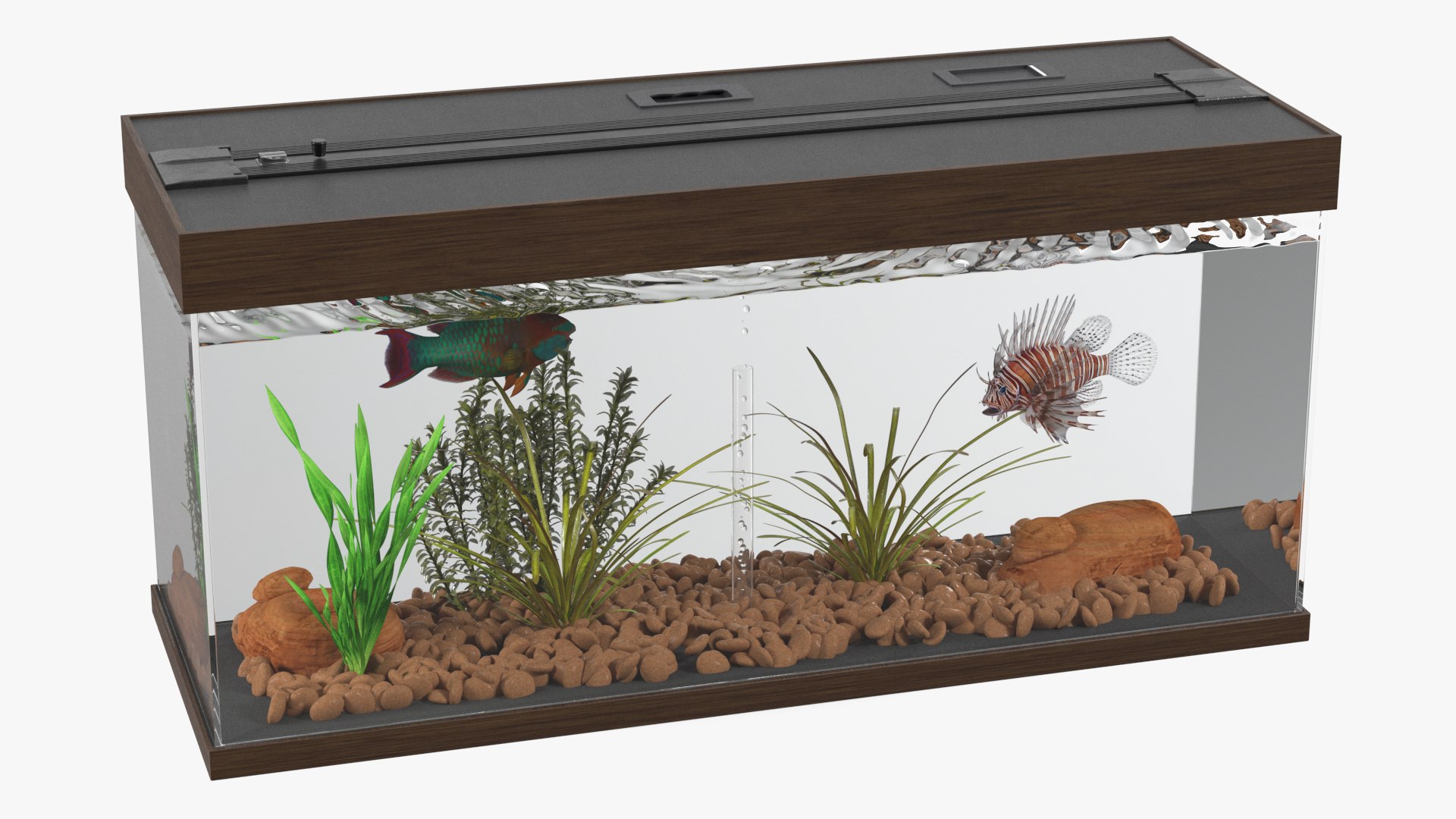 3D Fish Tank Wooden Long Model - TurboSquid 2221270