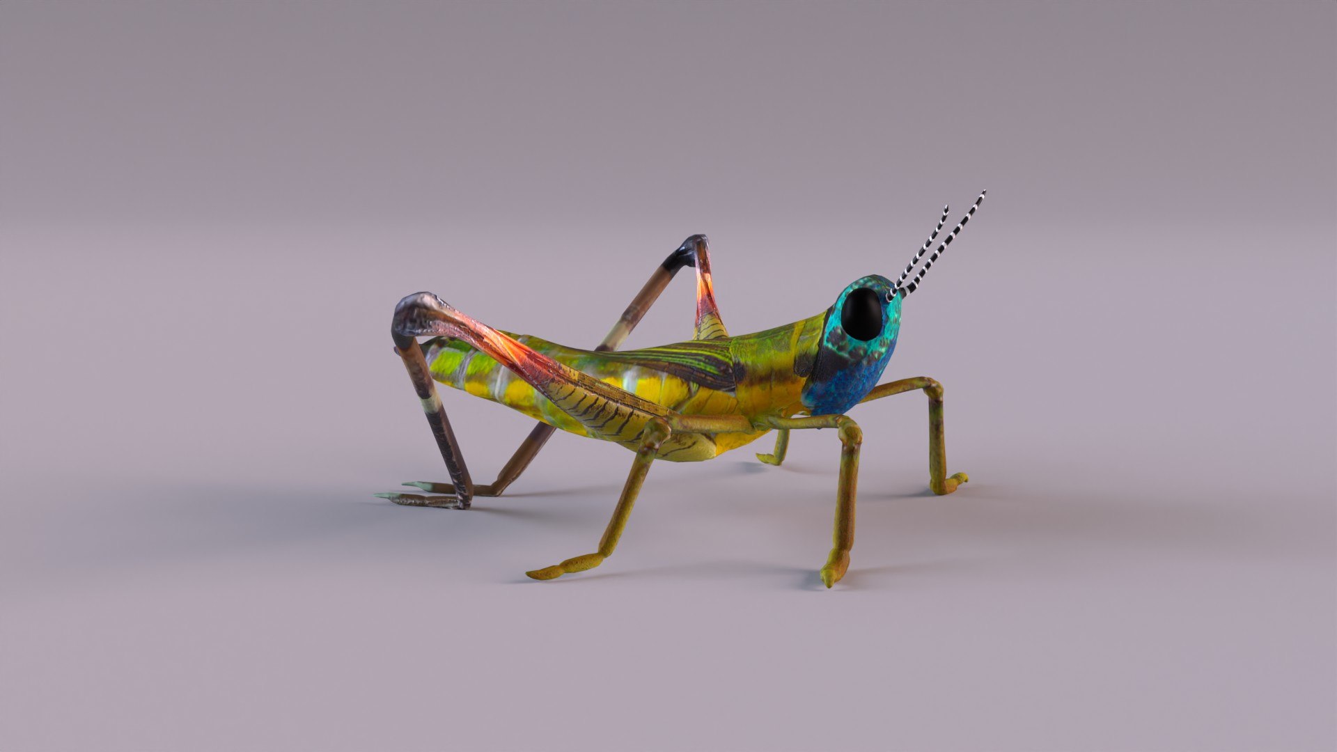 3D 12 Insects Pack Model - TurboSquid 2007512