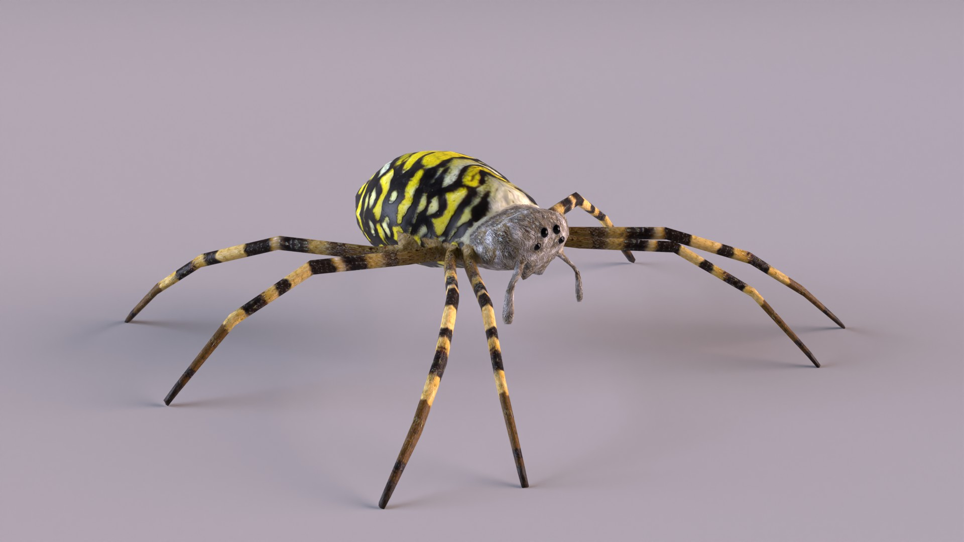 3D 12 Insects Pack Model - TurboSquid 2007512
