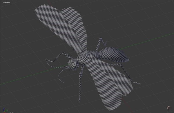 3D 12 Insects pack model - TurboSquid 2007512
