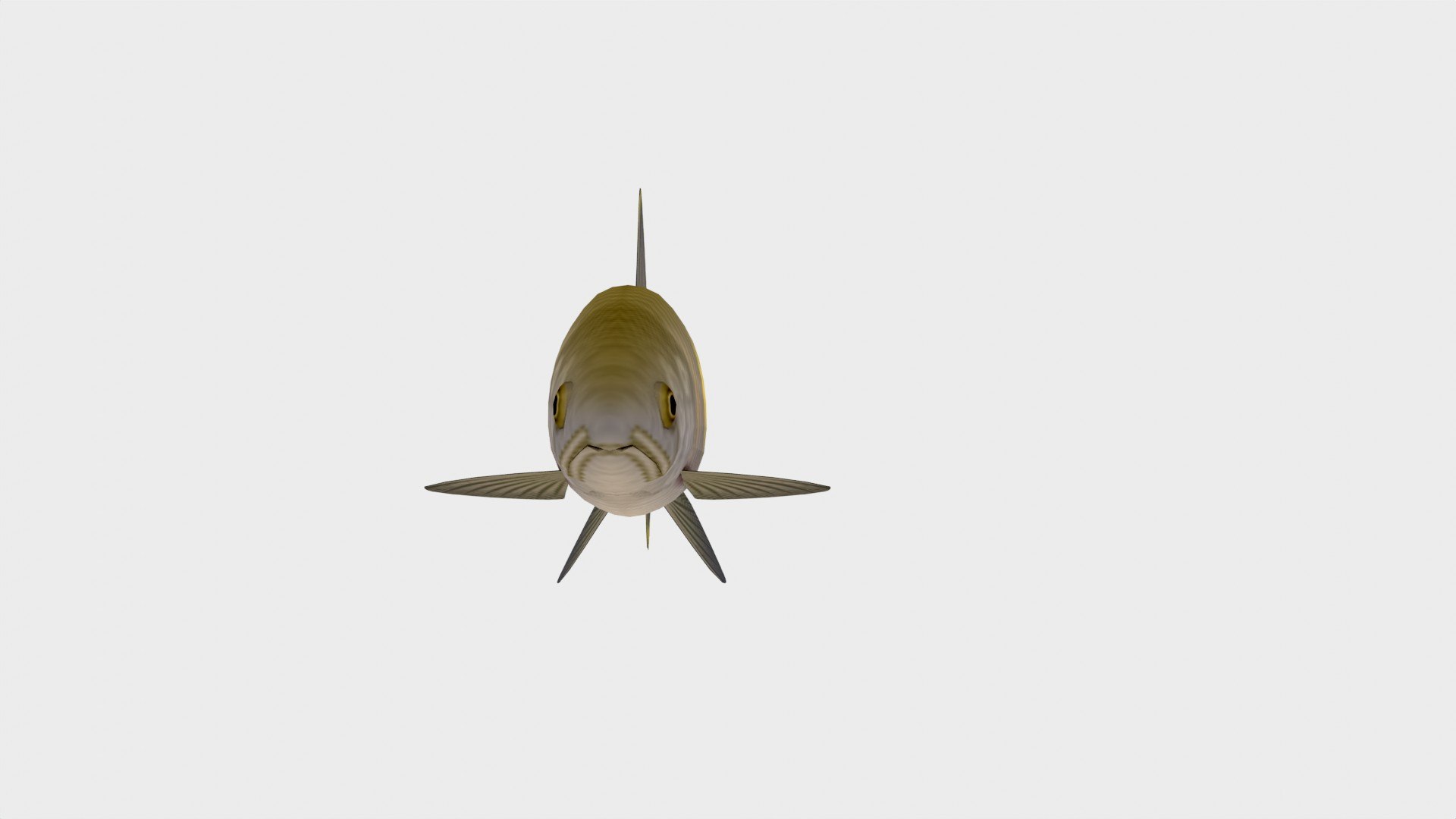 3D Ayu Fish 3D Model Low Poly - TurboSquid 2242538
