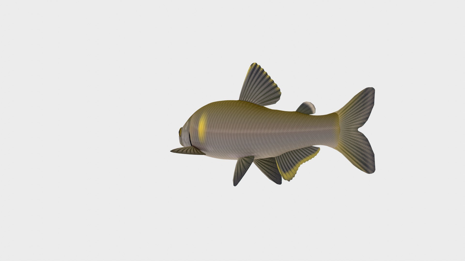 3D Ayu Fish 3D Model Low Poly - TurboSquid 2242538