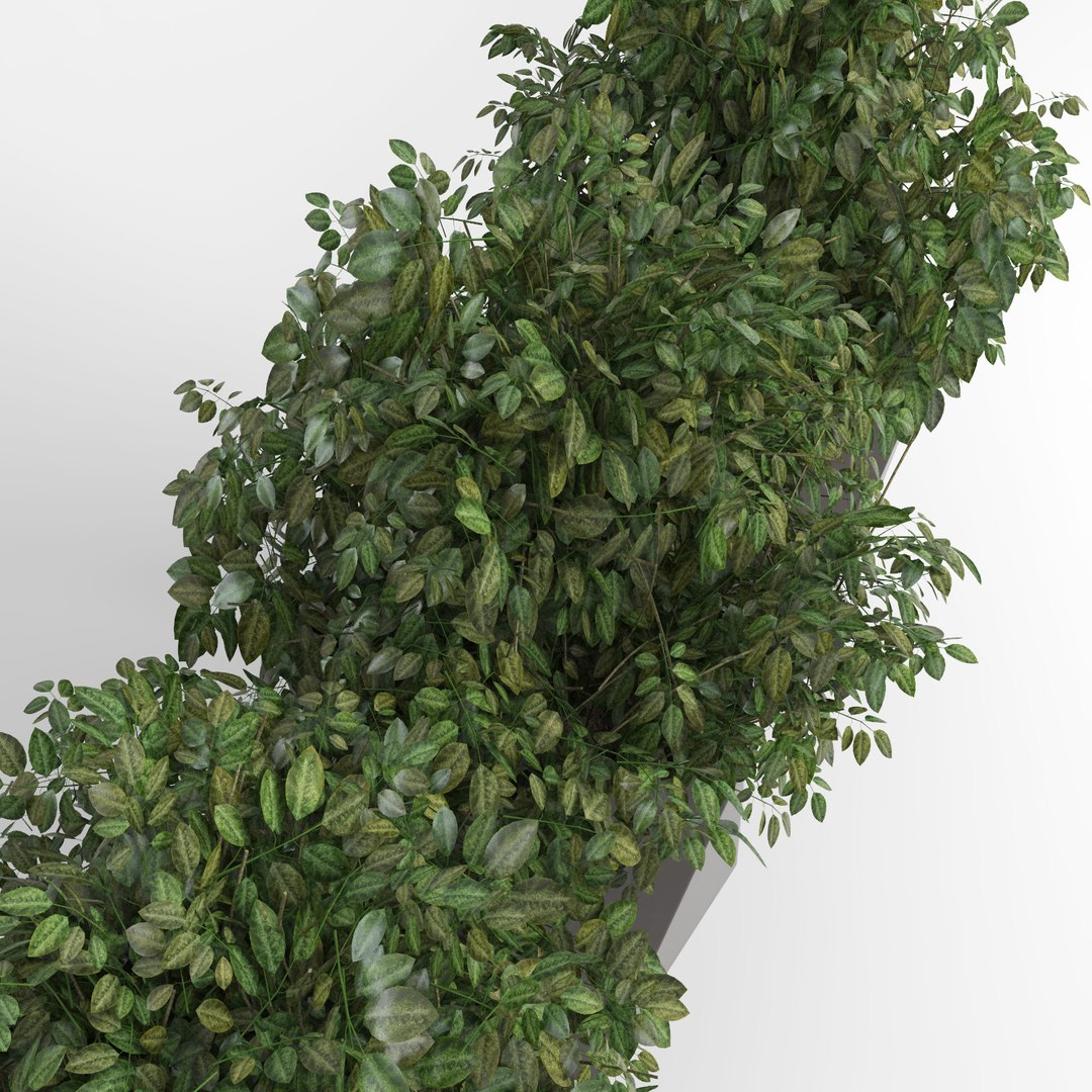 Plants Indoor Outdoor 3d Obj