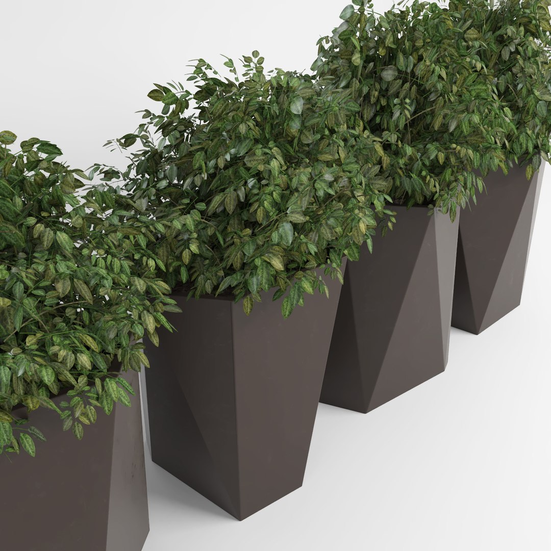 Plants Indoor Outdoor 3d Obj