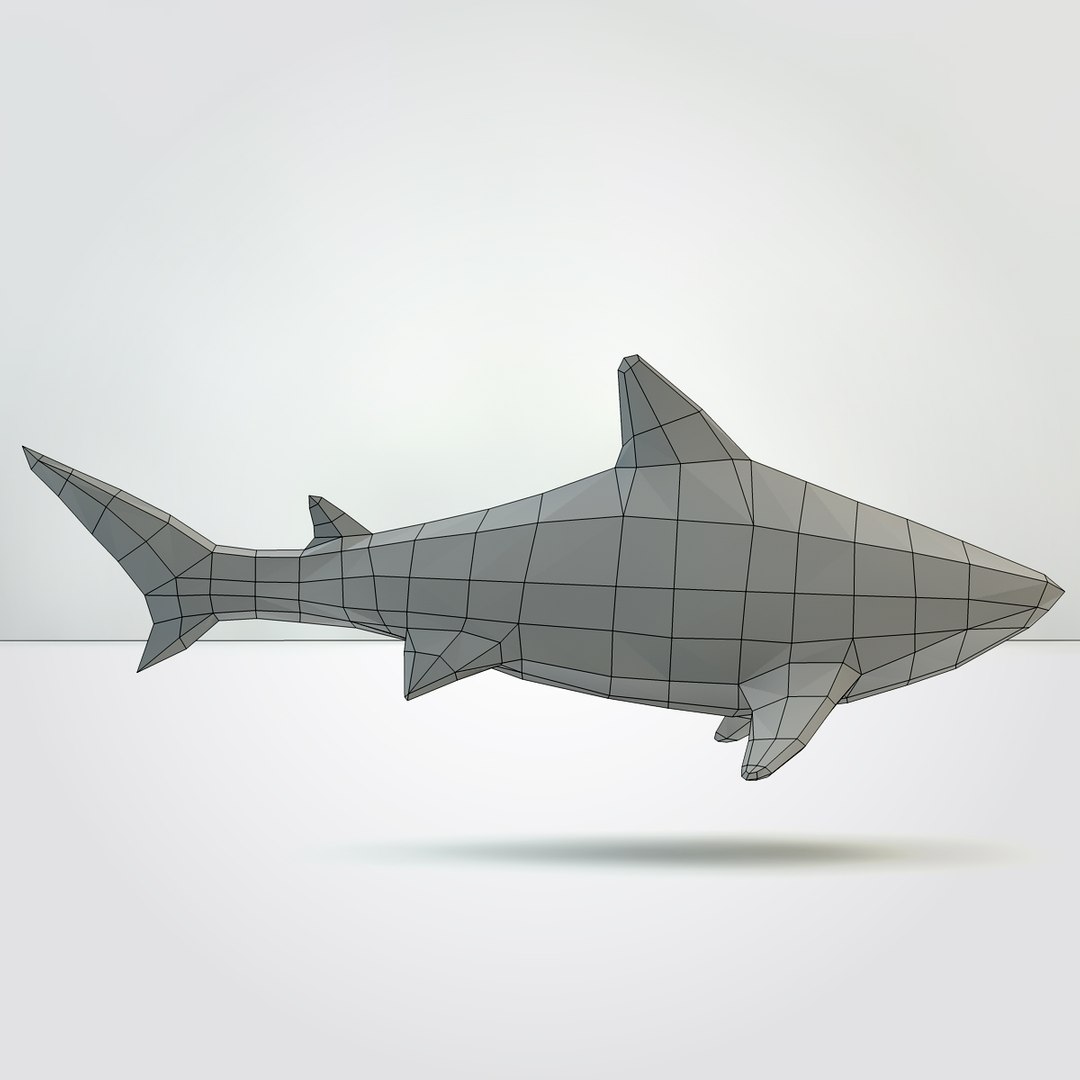 3d shark