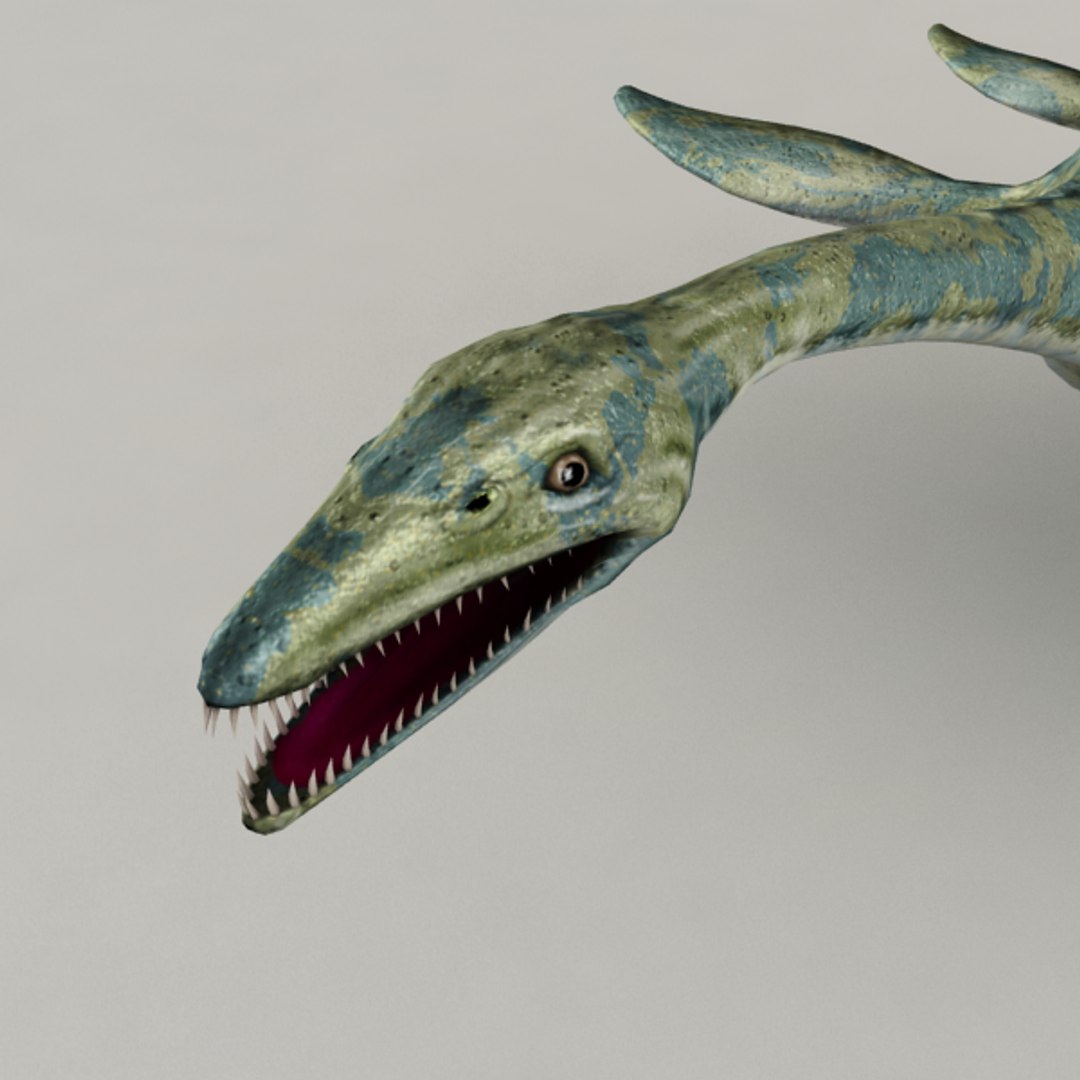 3d Plesiosaurus Rigged Model