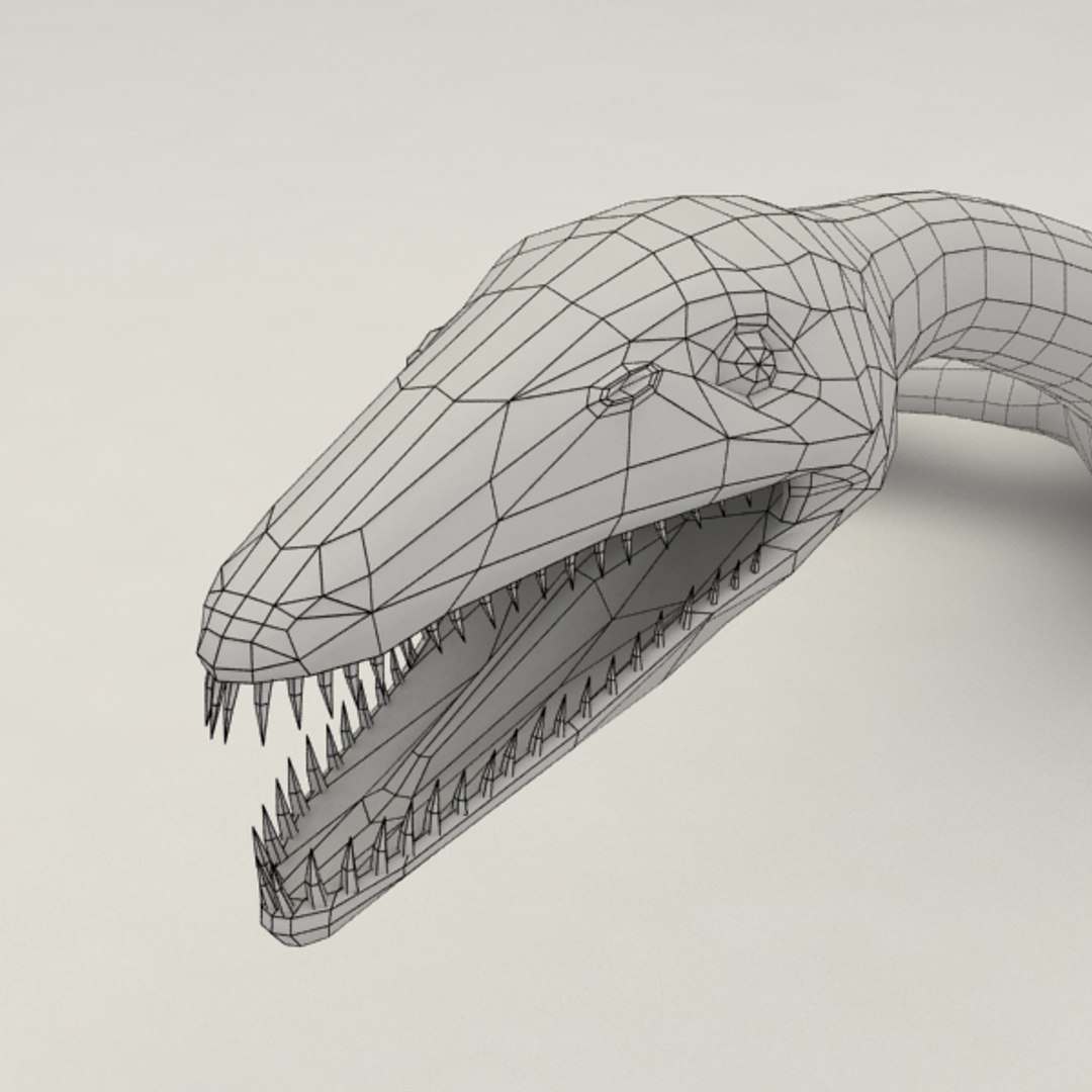 3d Plesiosaurus Rigged Model