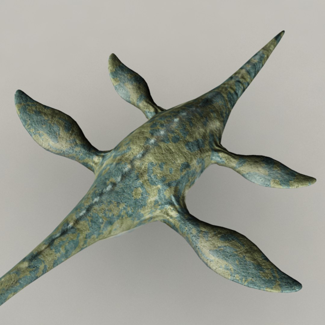3d Plesiosaurus Rigged Model