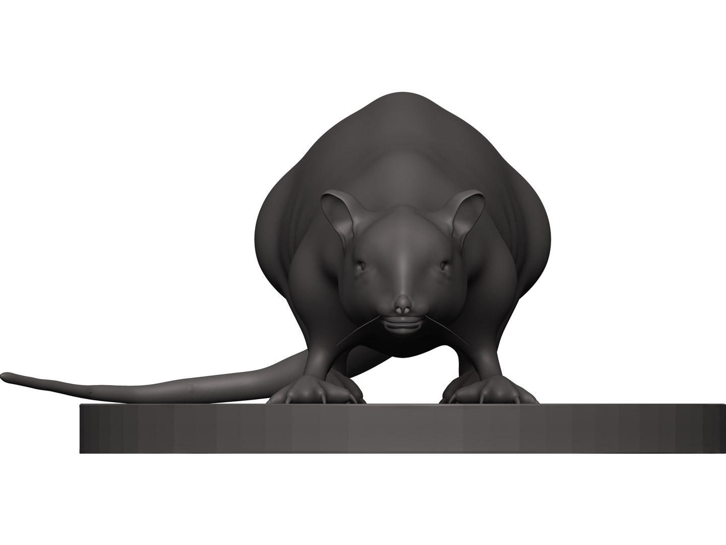 3D Realistic Rat - TurboSquid 1874396