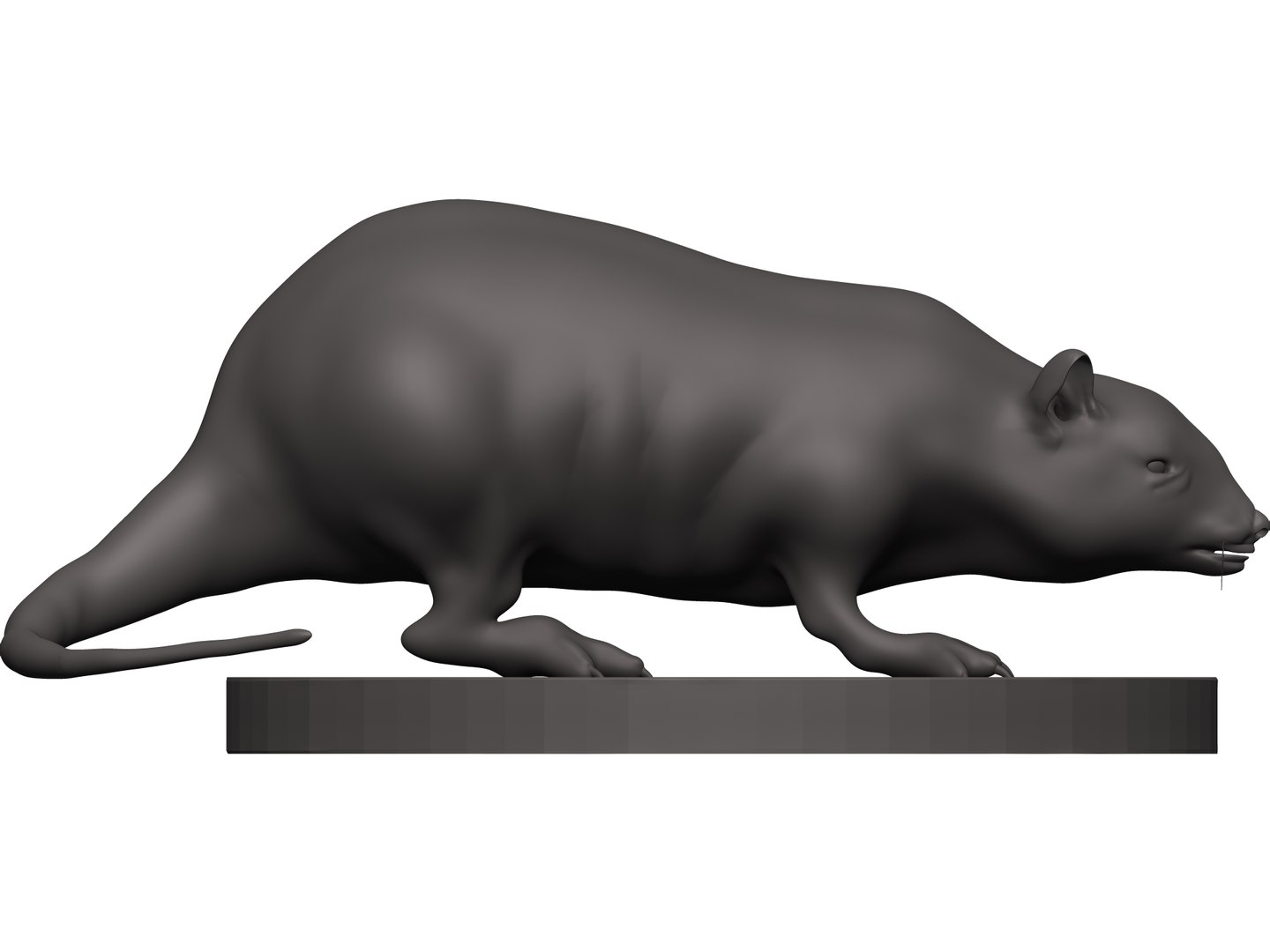 3D Realistic Rat - TurboSquid 1874396