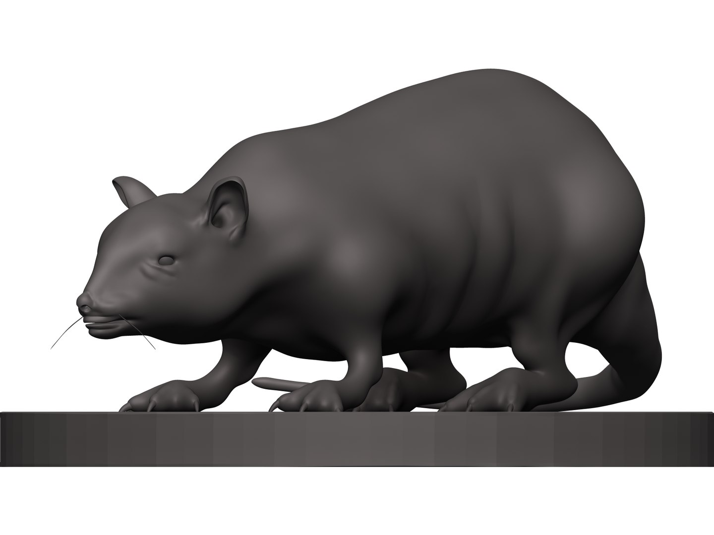 3D Realistic Rat - TurboSquid 1874396