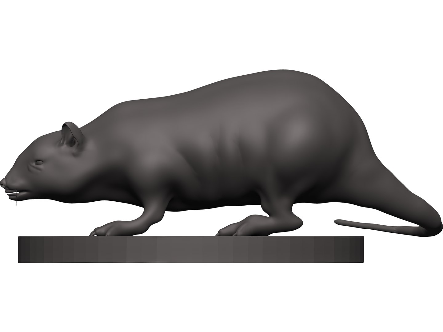 3D Realistic Rat - TurboSquid 1874396