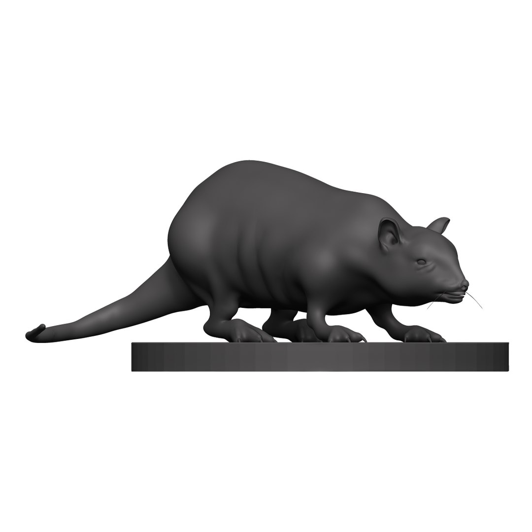 3D Realistic Rat - TurboSquid 1874396
