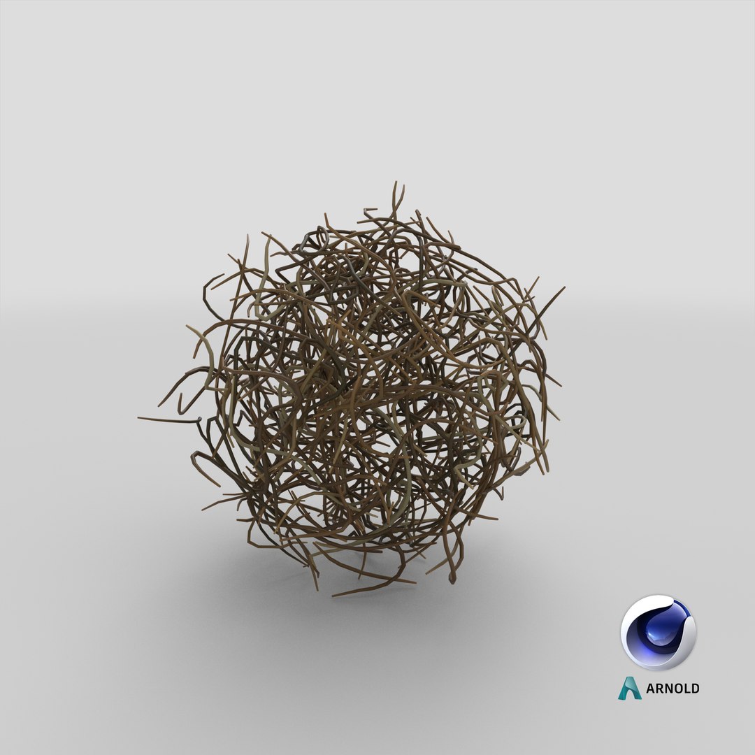 3D Cartoon Tumbleweed 03 - TurboSquid 2052556
