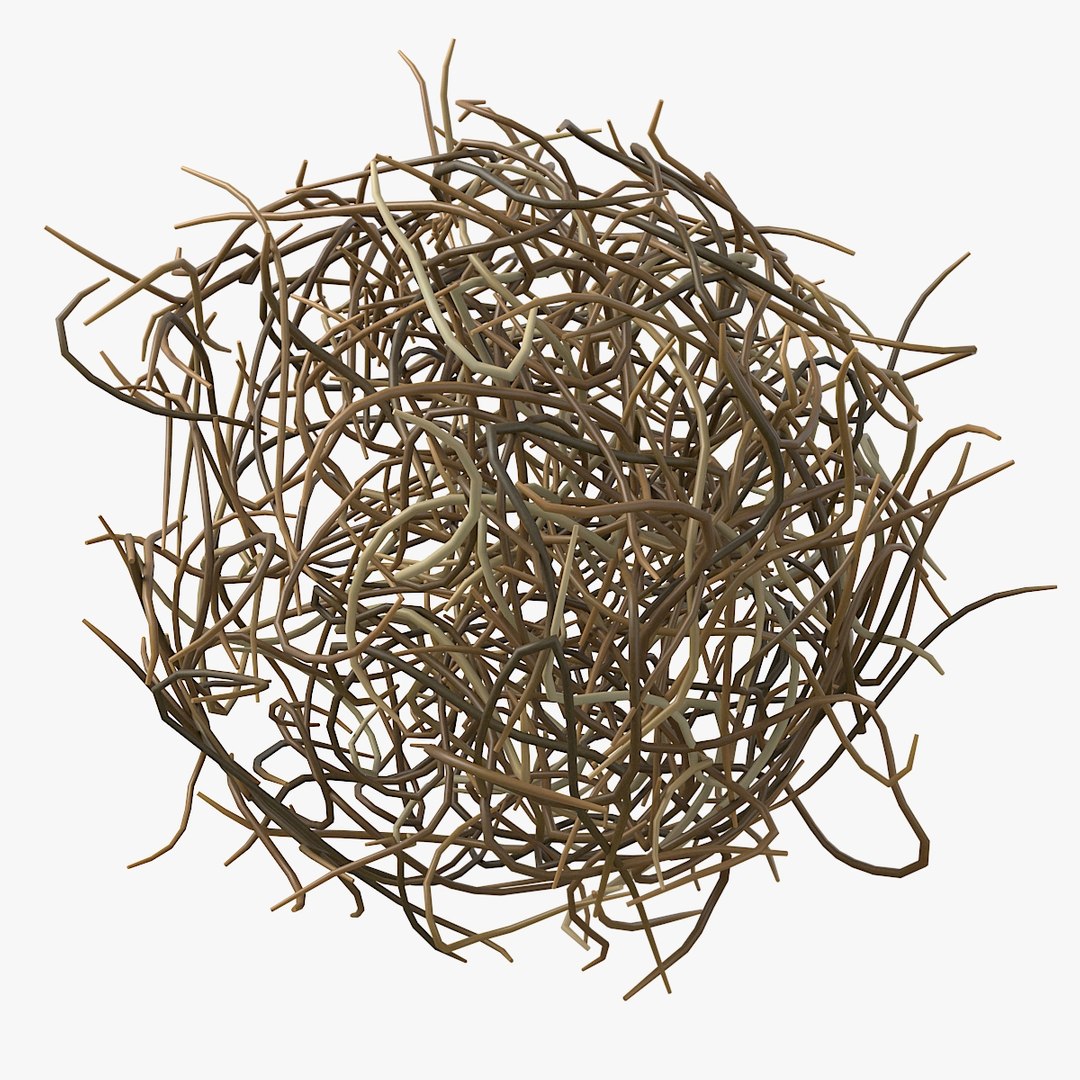 3D Cartoon Tumbleweed 03 - TurboSquid 2052556