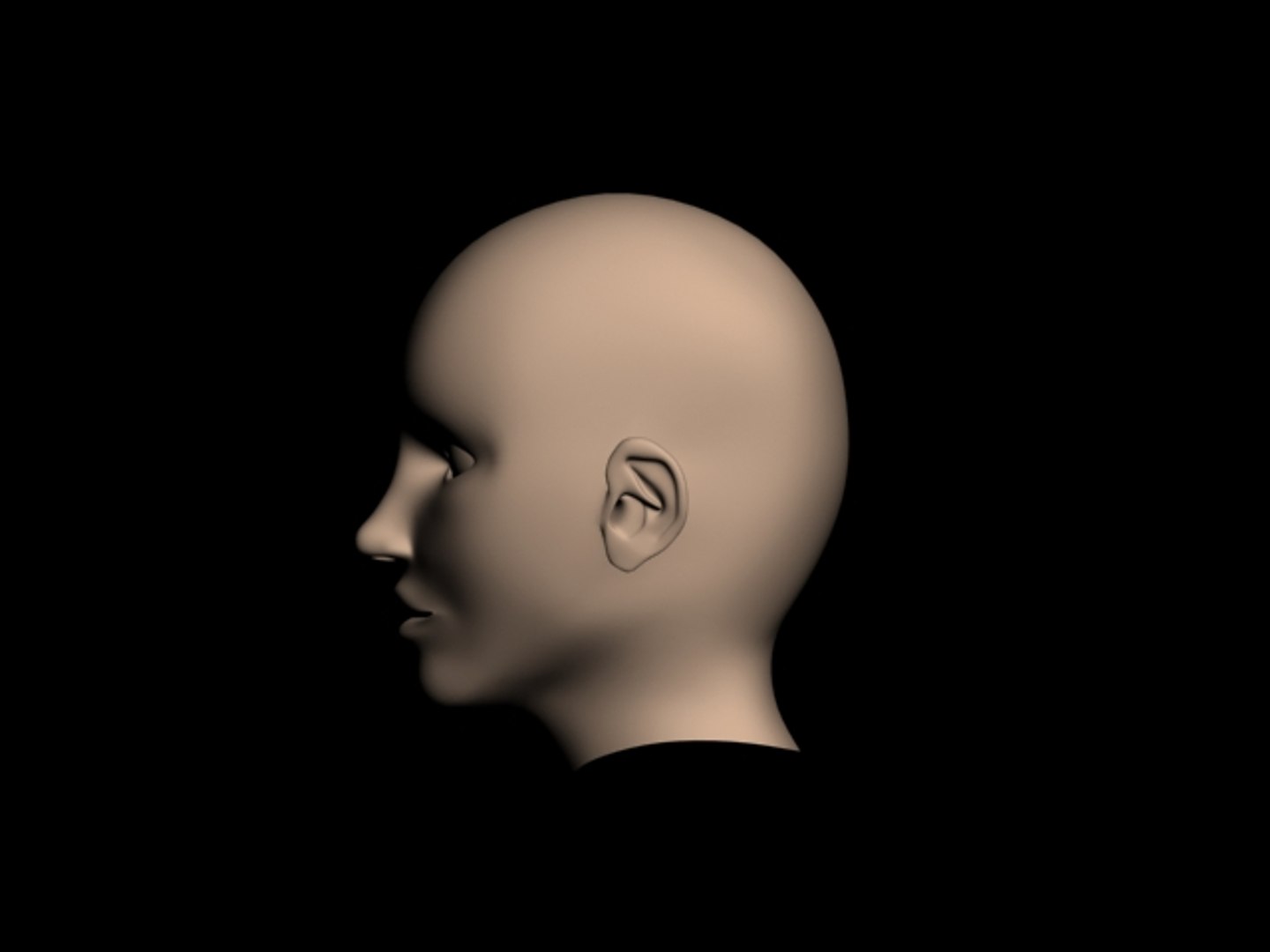 3d Human Child Head