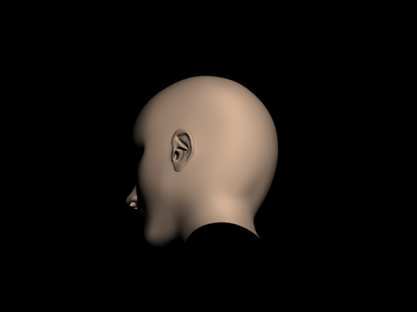 3d Human Child Head
