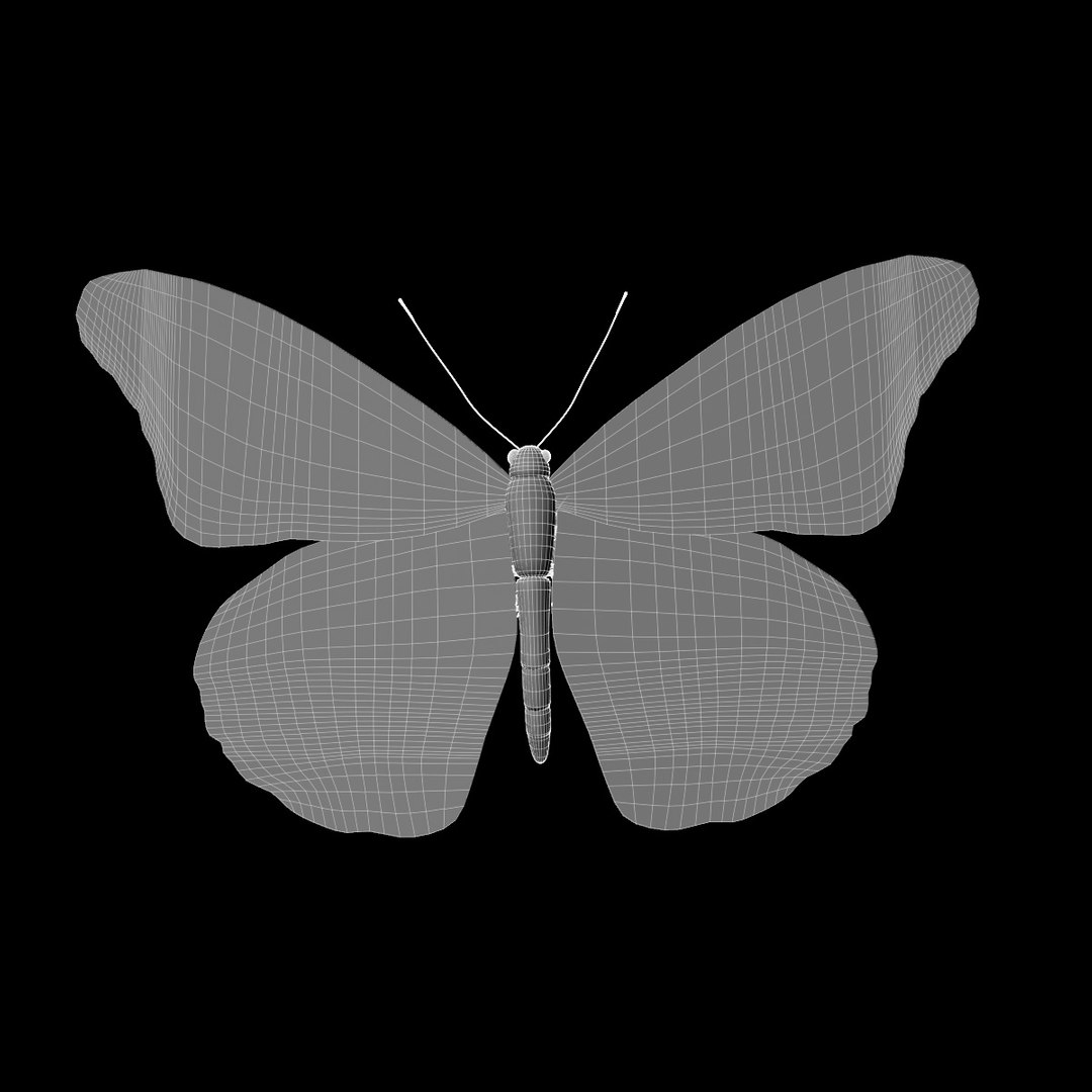 3ds Max Monarch Butterfly