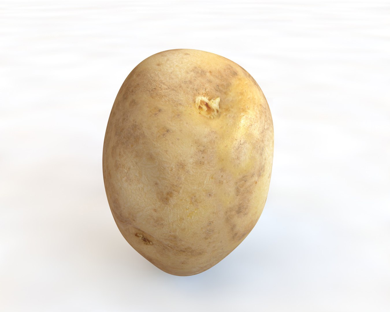 3D Potato - TurboSquid 1544563