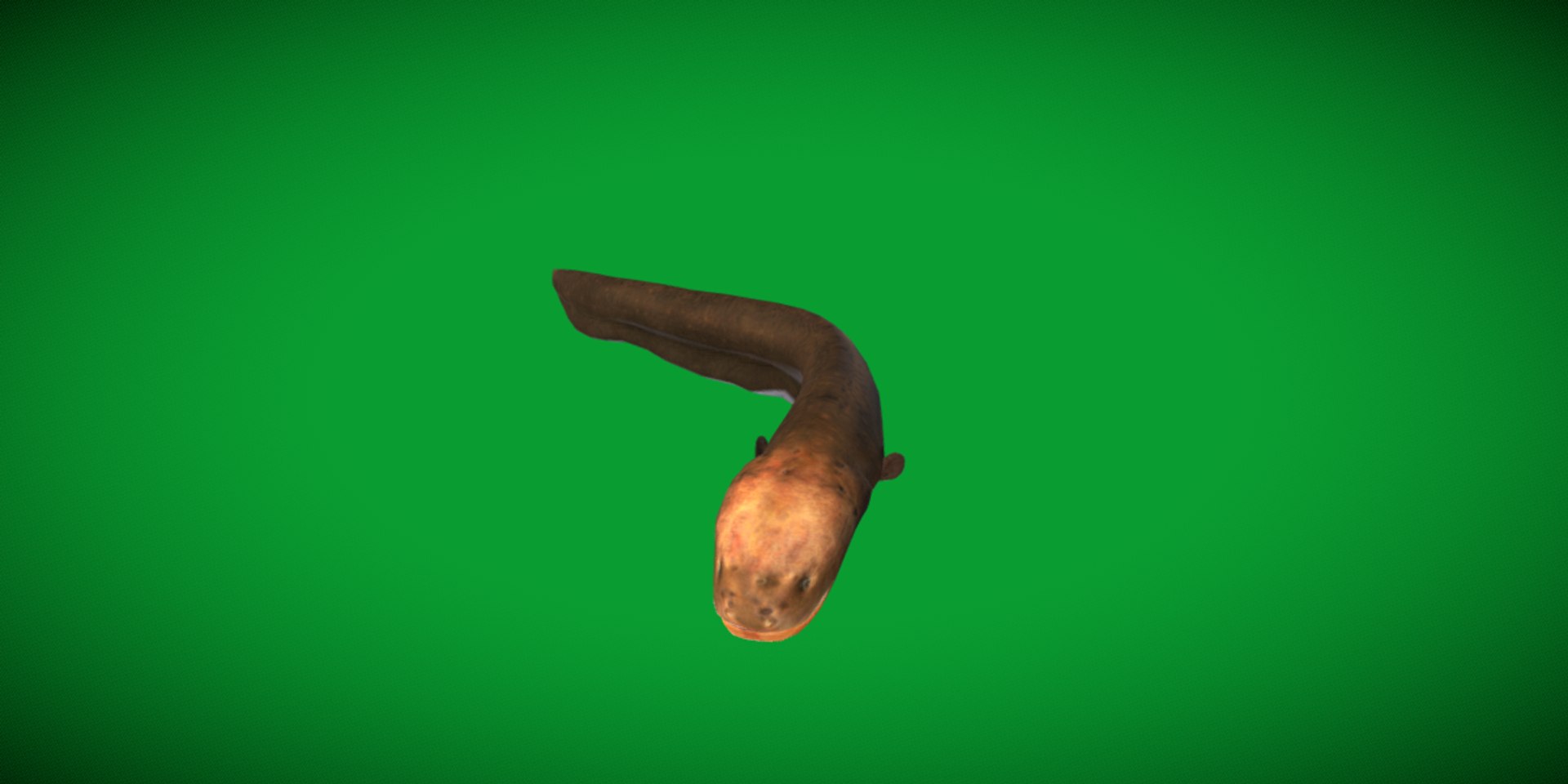 3D Electric Eel Fish Model - TurboSquid 2341065