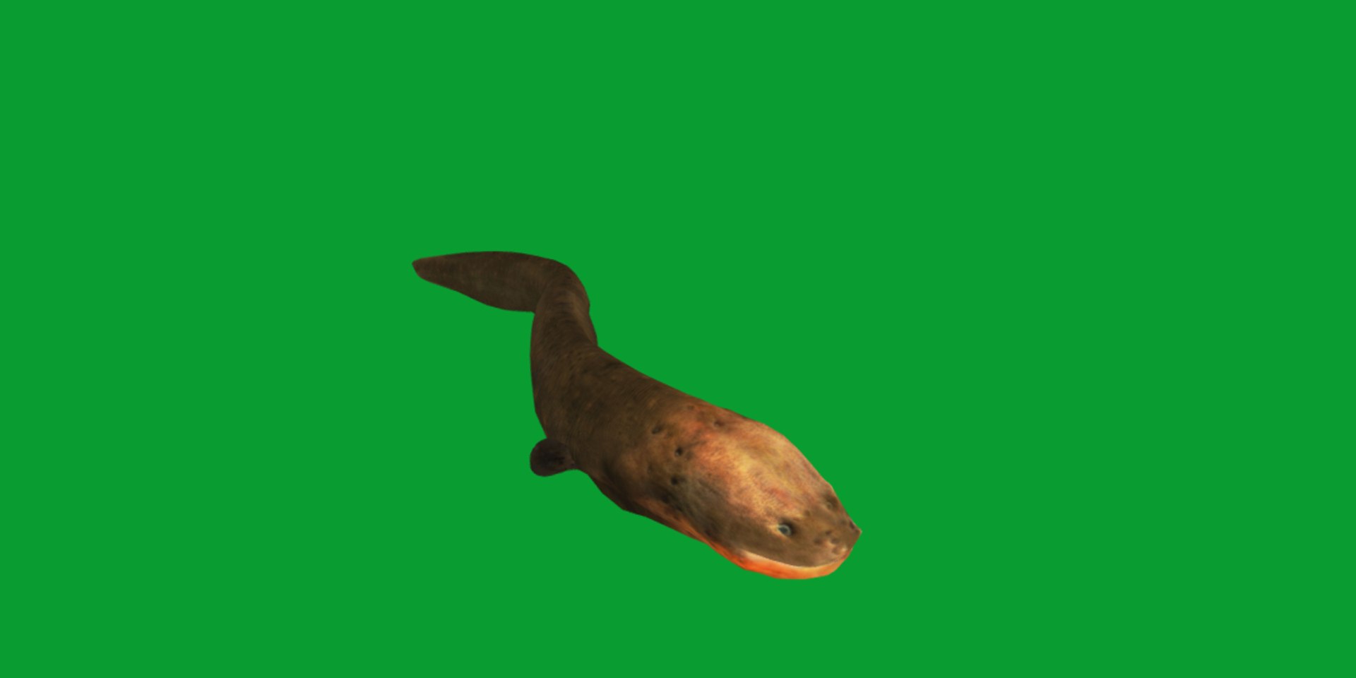 3D Electric Eel Fish Model - TurboSquid 2341065