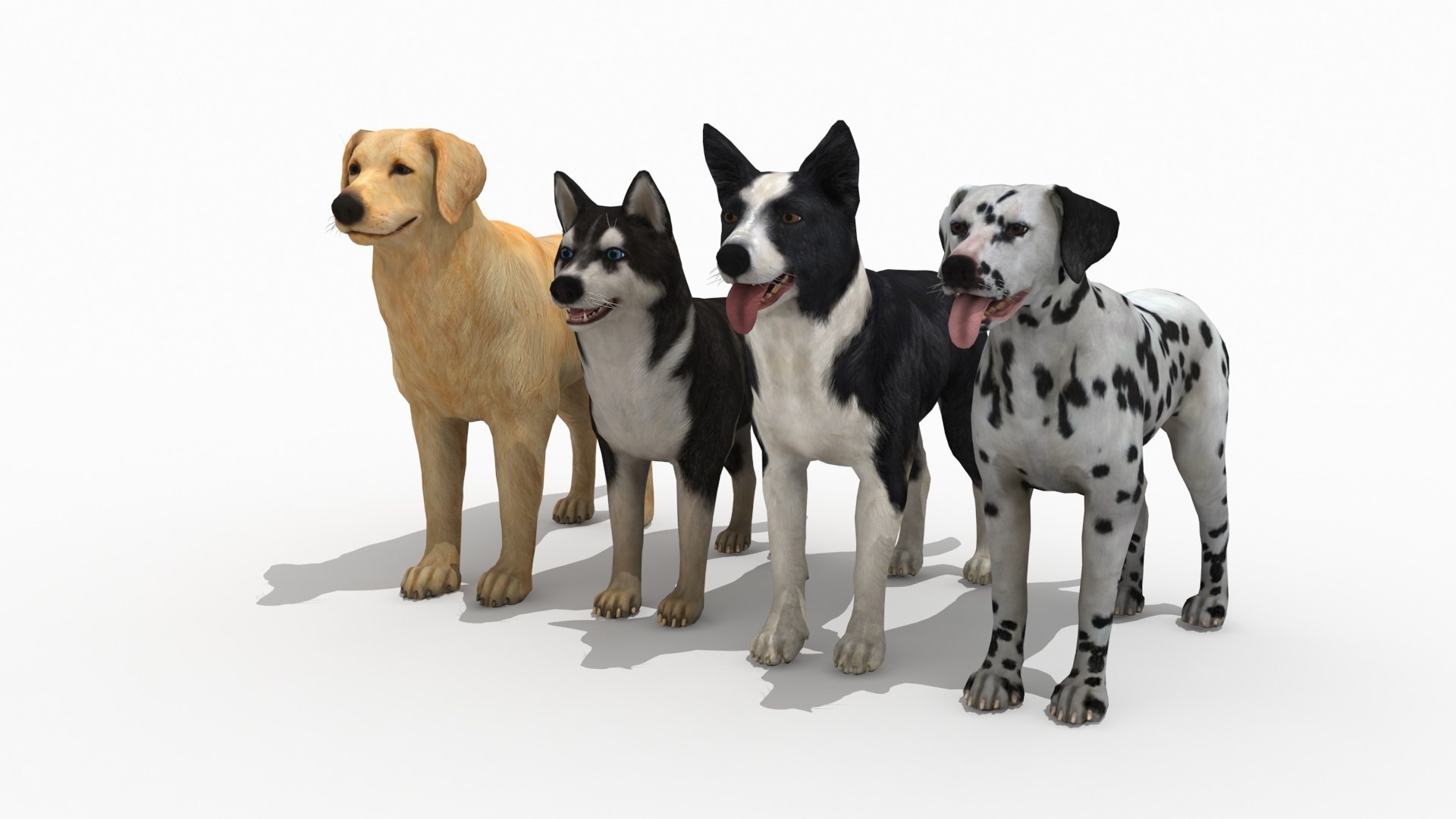 3D Dog Collection - TurboSquid 2254865