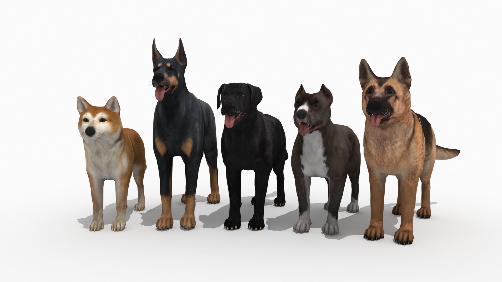 3D Dog Collection - TurboSquid 2254865