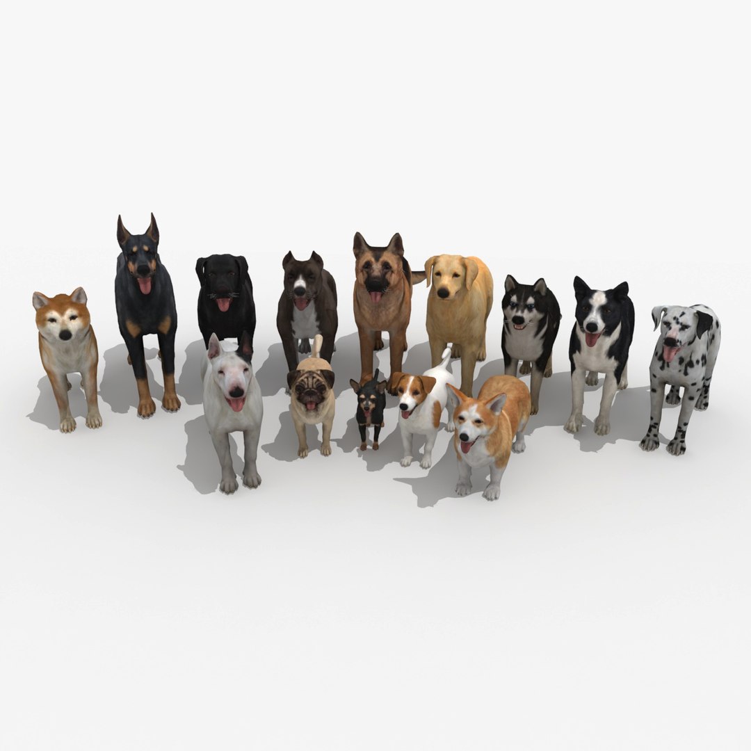 3D Dog Collection - TurboSquid 2254865