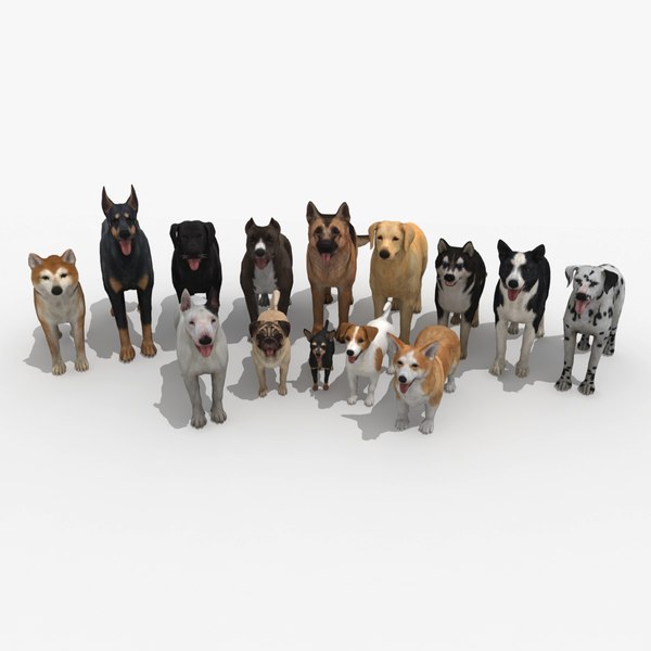 modelo 3d Colección de perros - TurboSquid 2254865