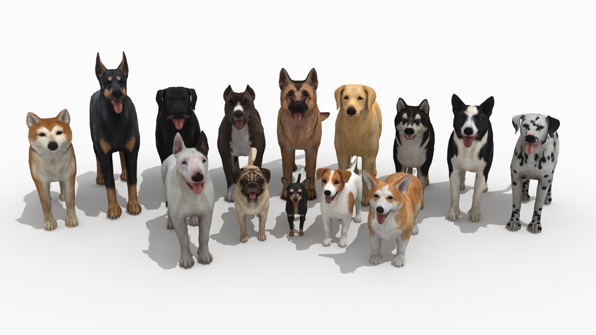 3D Dog Collection - TurboSquid 2254865