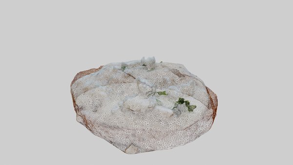 Textured 3D - TurboSquid 1887372