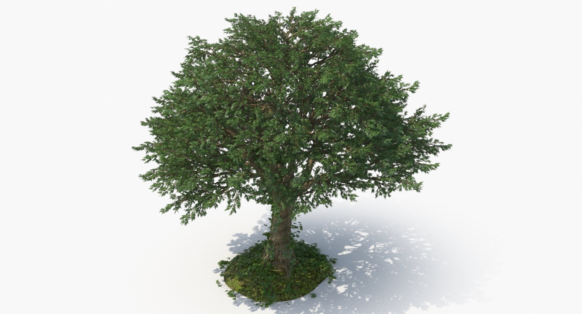 Realistic Tree 2 3D Model - TurboSquid 1226161