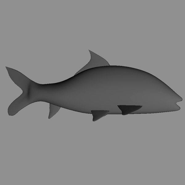 3D Carp fish model - TurboSquid 2043625