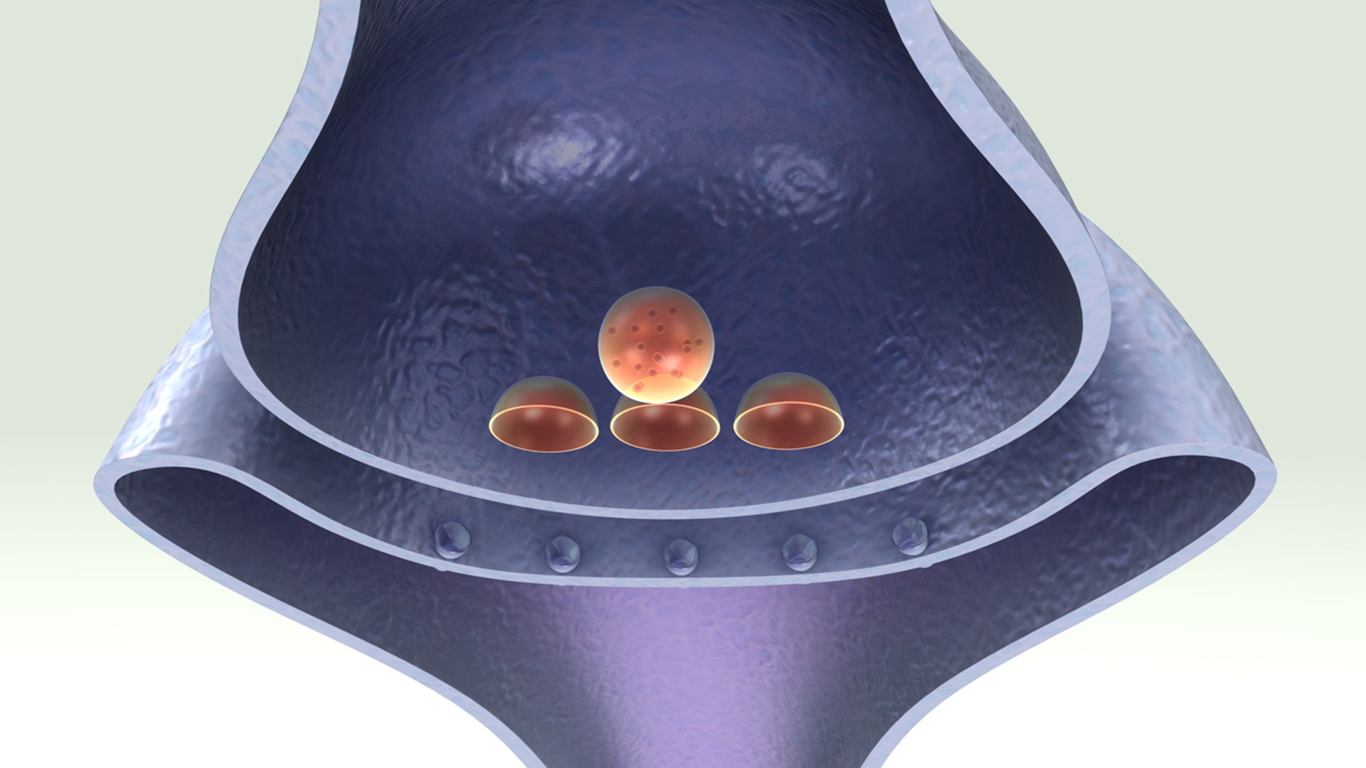 Acetylcholine Neurotransmitter Neurons 3d Obj