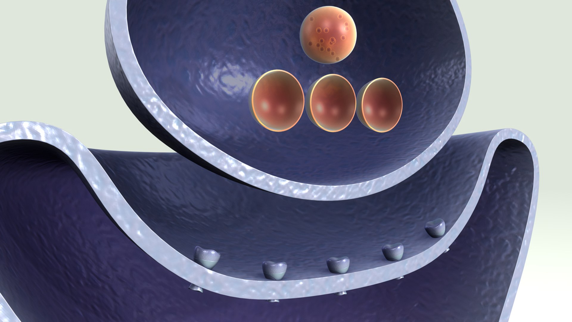 Acetylcholine Neurotransmitter Neurons 3d Obj