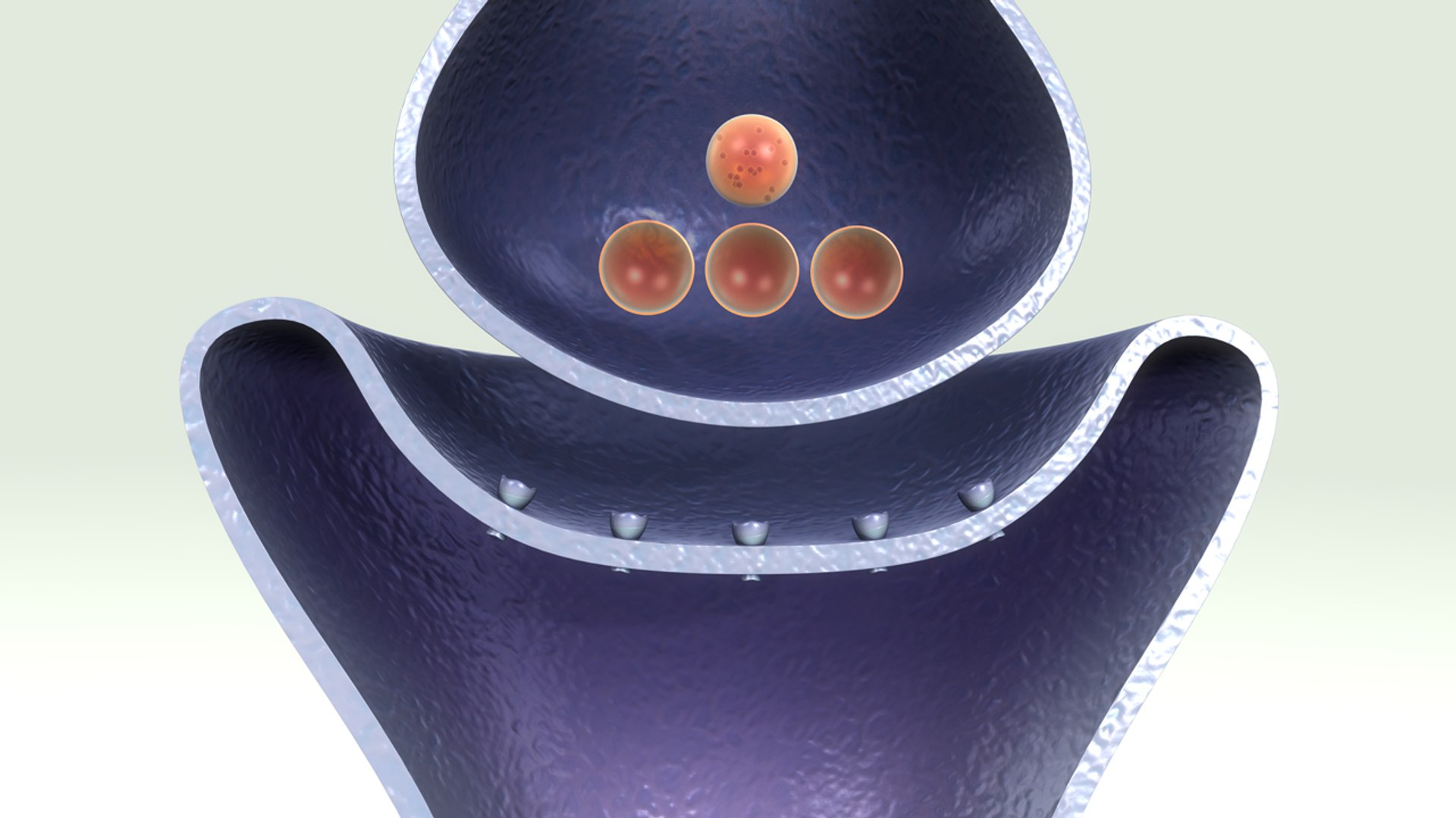 Acetylcholine Neurotransmitter Neurons 3d Obj