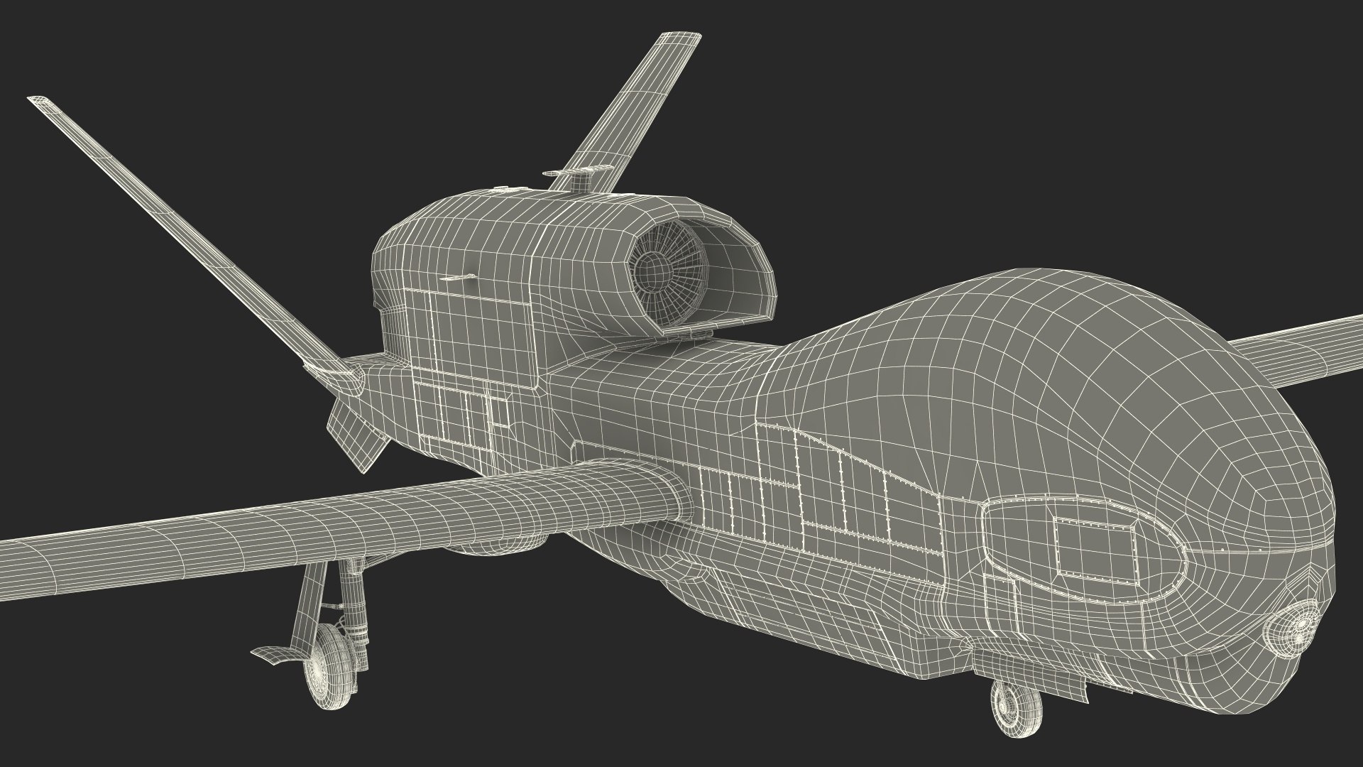 3D RQ-4D Phoenix Global Hawk Drone Rigged Model - TurboSquid 2158869