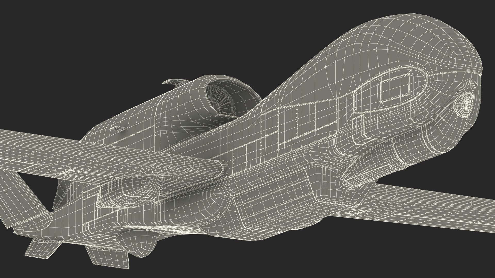 3D RQ-4D Phoenix Global Hawk Drone Rigged Model - TurboSquid 2158869