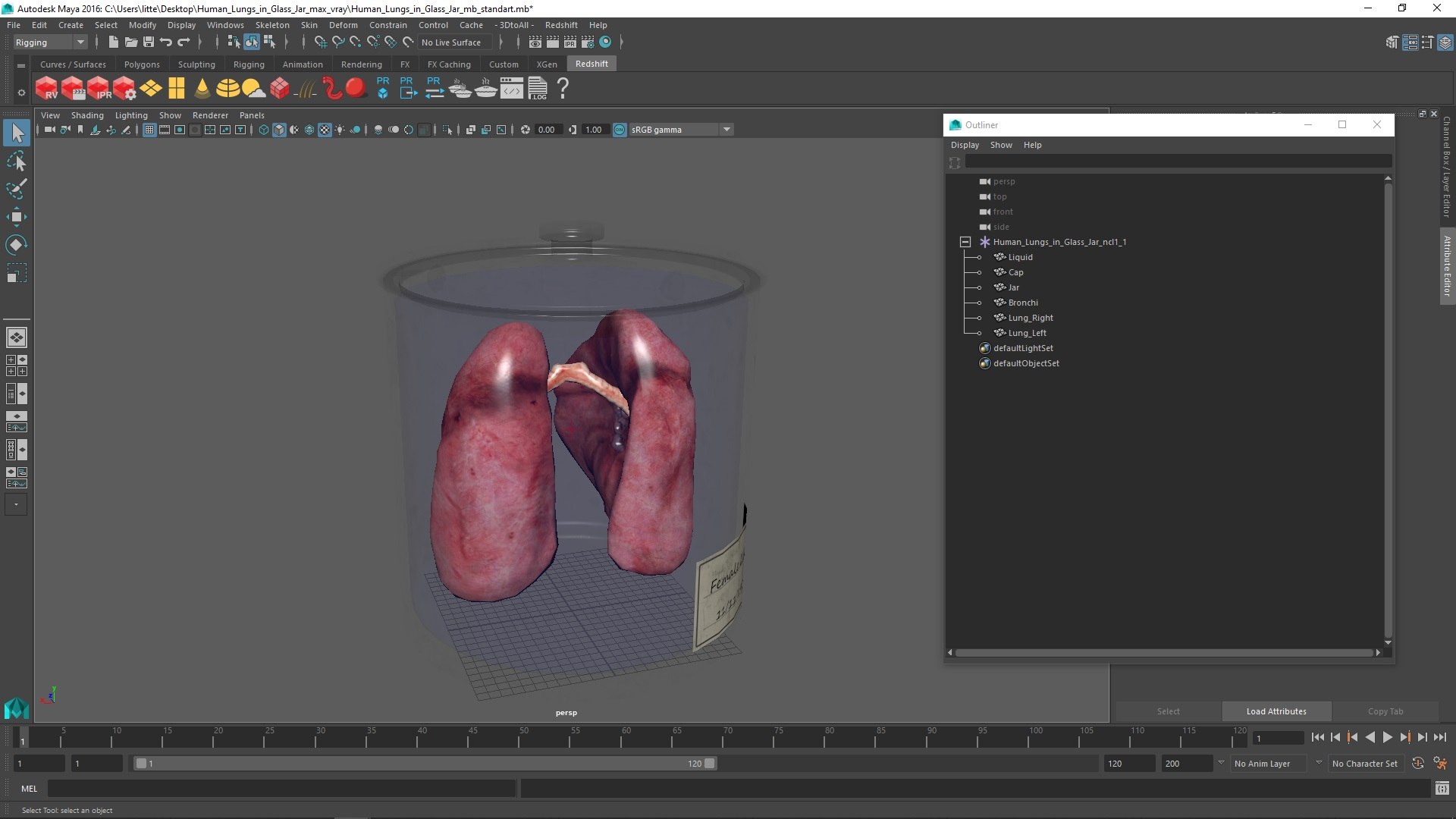 3D Human Lungs In Glass Jar - TurboSquid 2258825